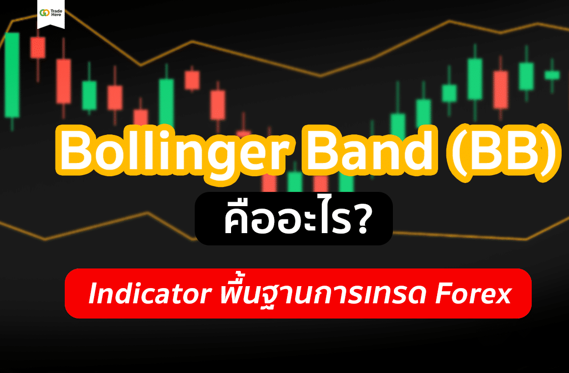 Bollinger Band (BB) คือ อะไร? Indicator พื้นฐานการ เทรด Forex - Highlight