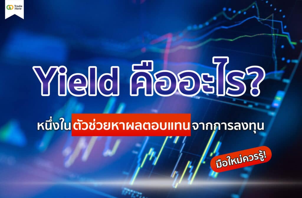 Yield คืออะไร? หนึ่งในตัวช่วยหาผลตอบแทนจากการลงทุน มือใหม่ควรรู้! - โดน ...
